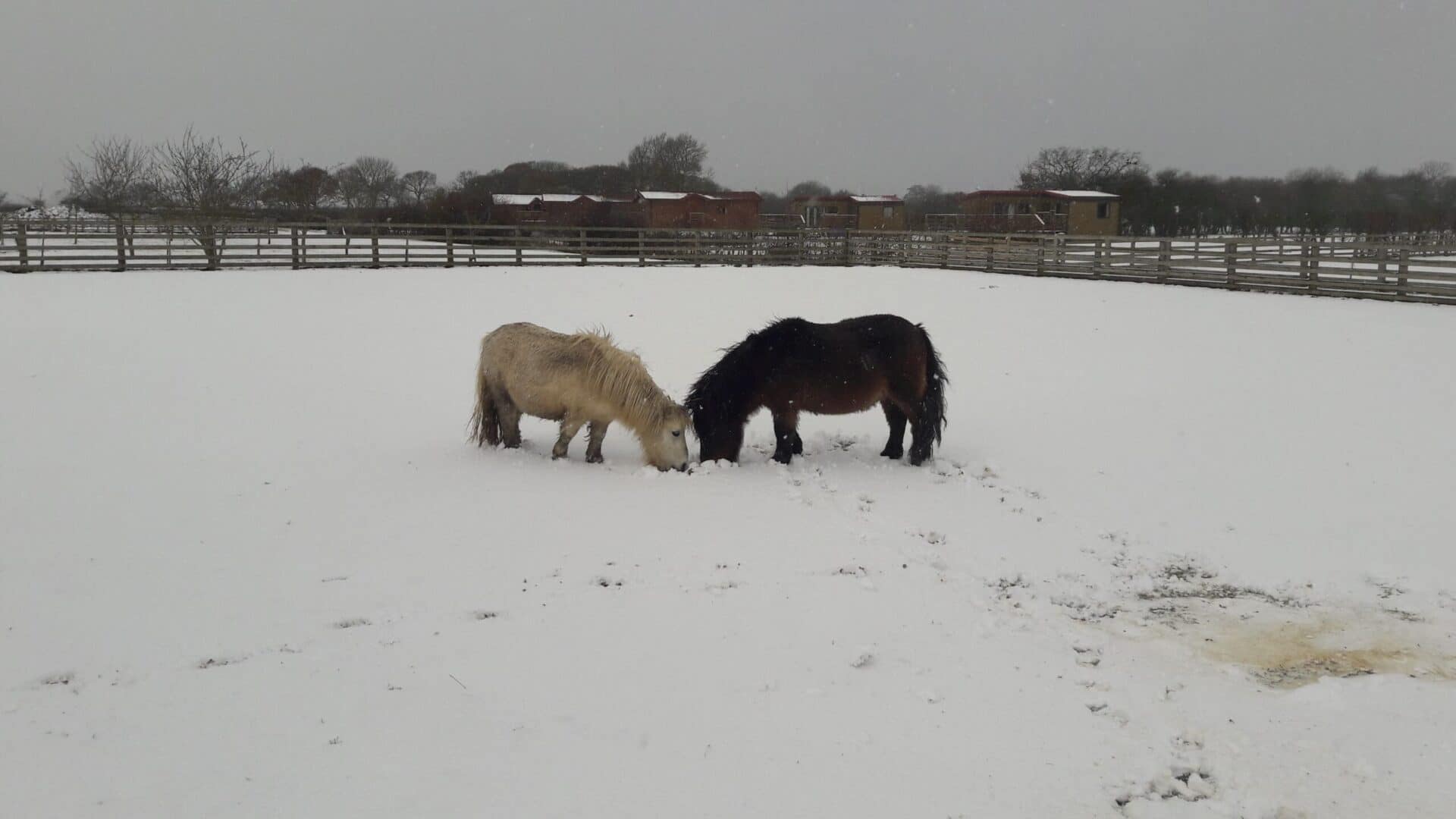 Plan For Barker Stakes Cottages And Lodges In Pickering